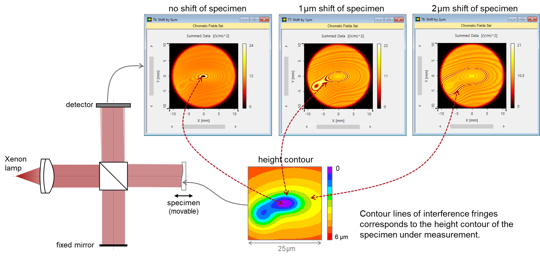 Full-Field Optical Coherence Scanning Interferometry - LightTrans